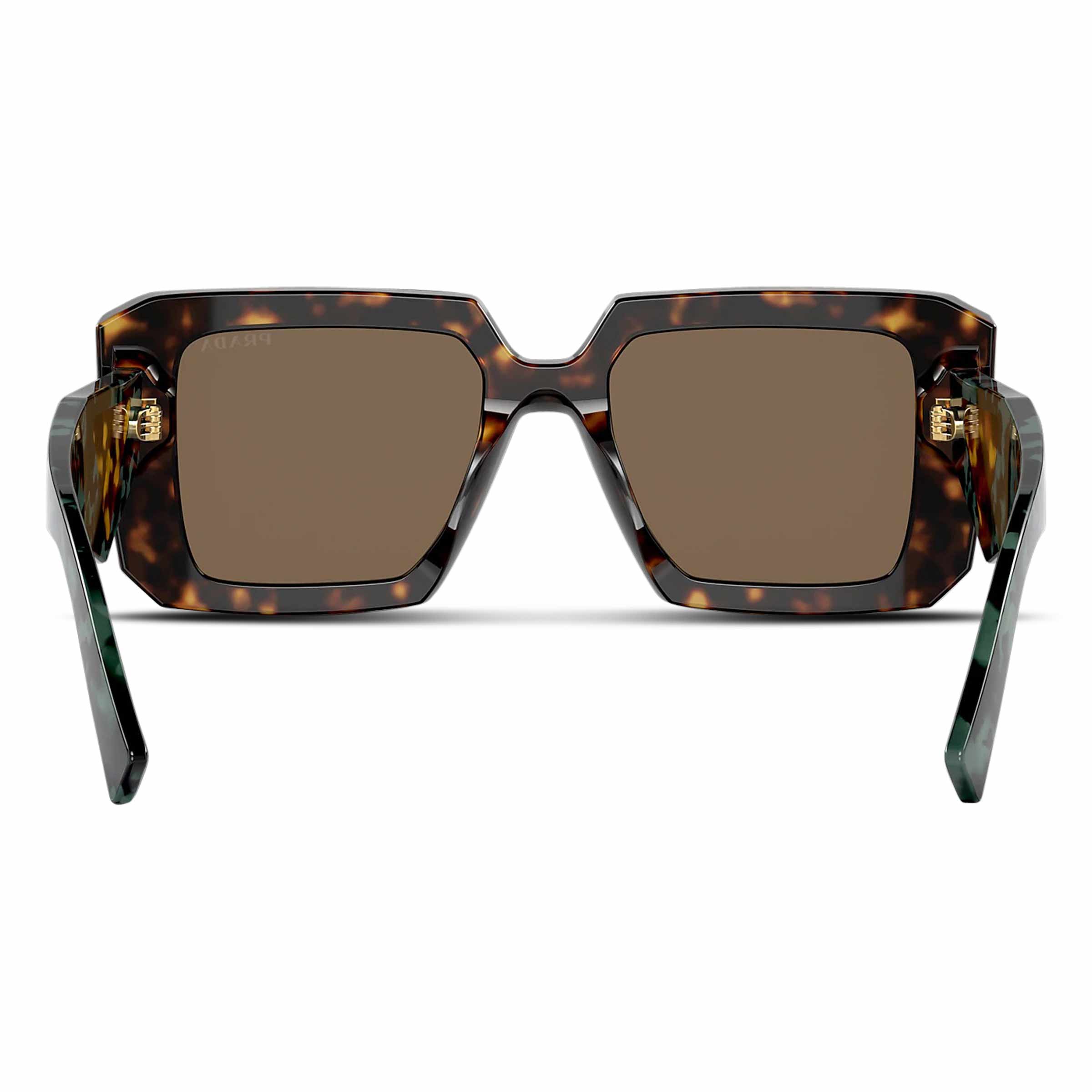 0PR 23YS Tortoise | SUBTYPE