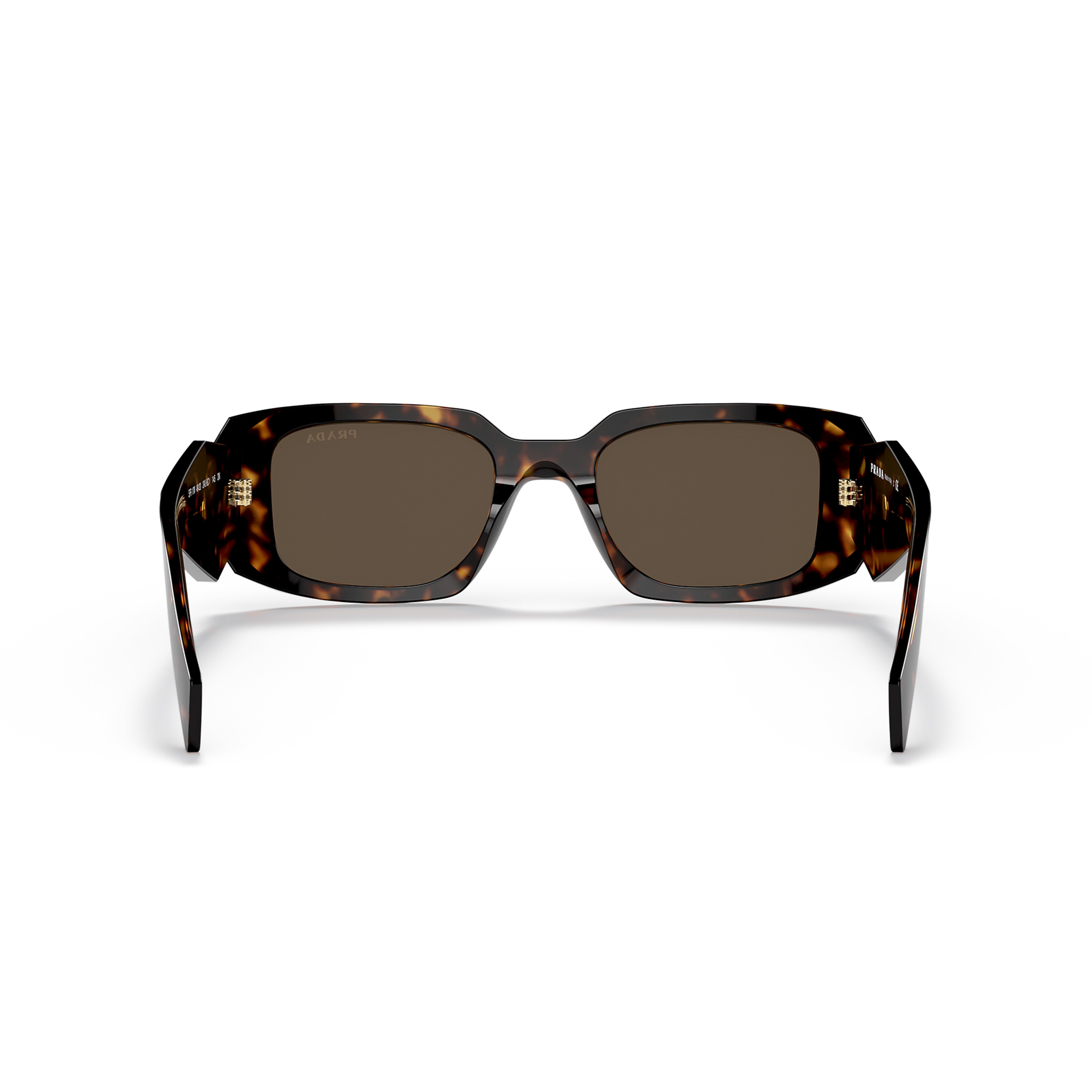 0PR 17WS Tortoise | SUBTYPE