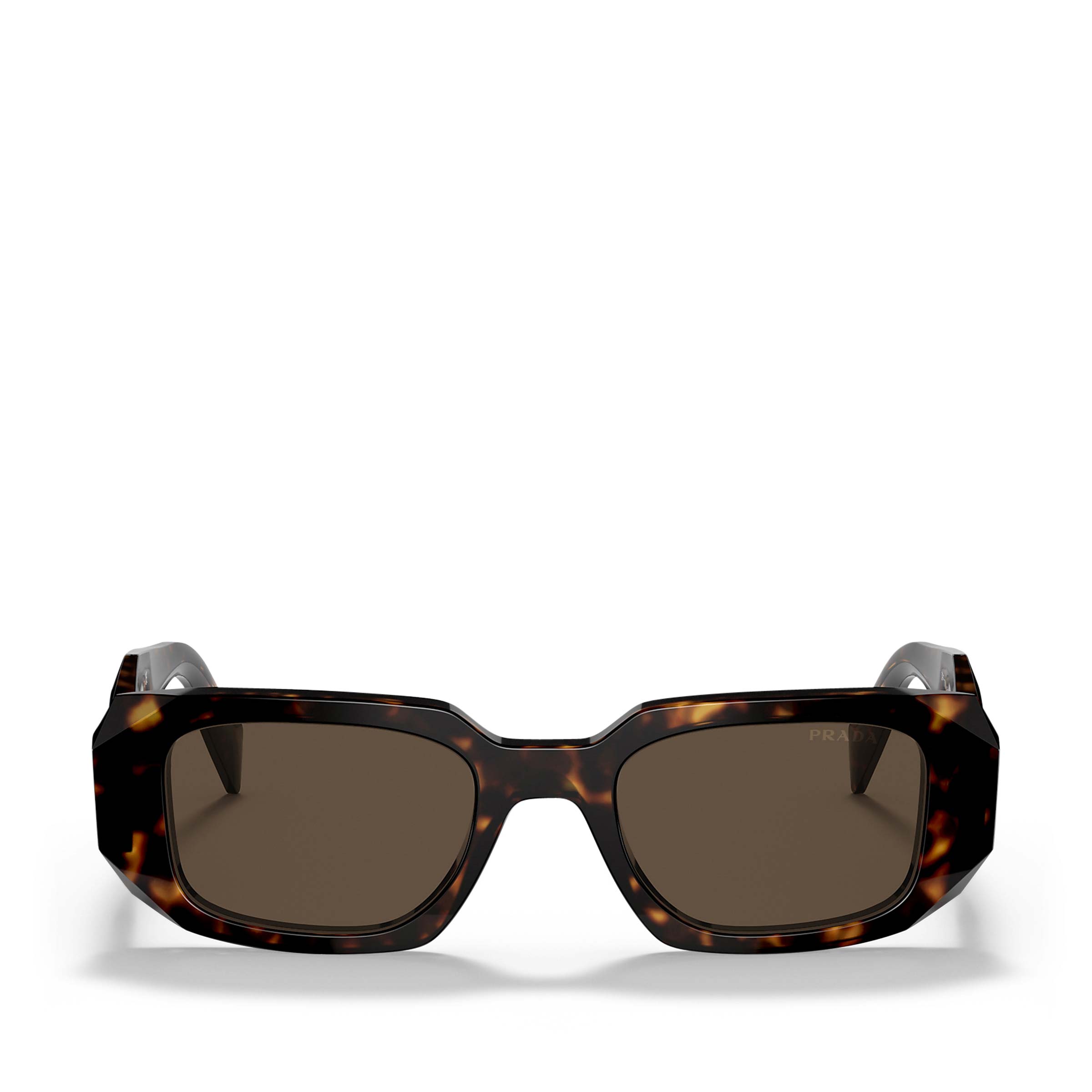 0PR 17WS Tortoise | SUBTYPE