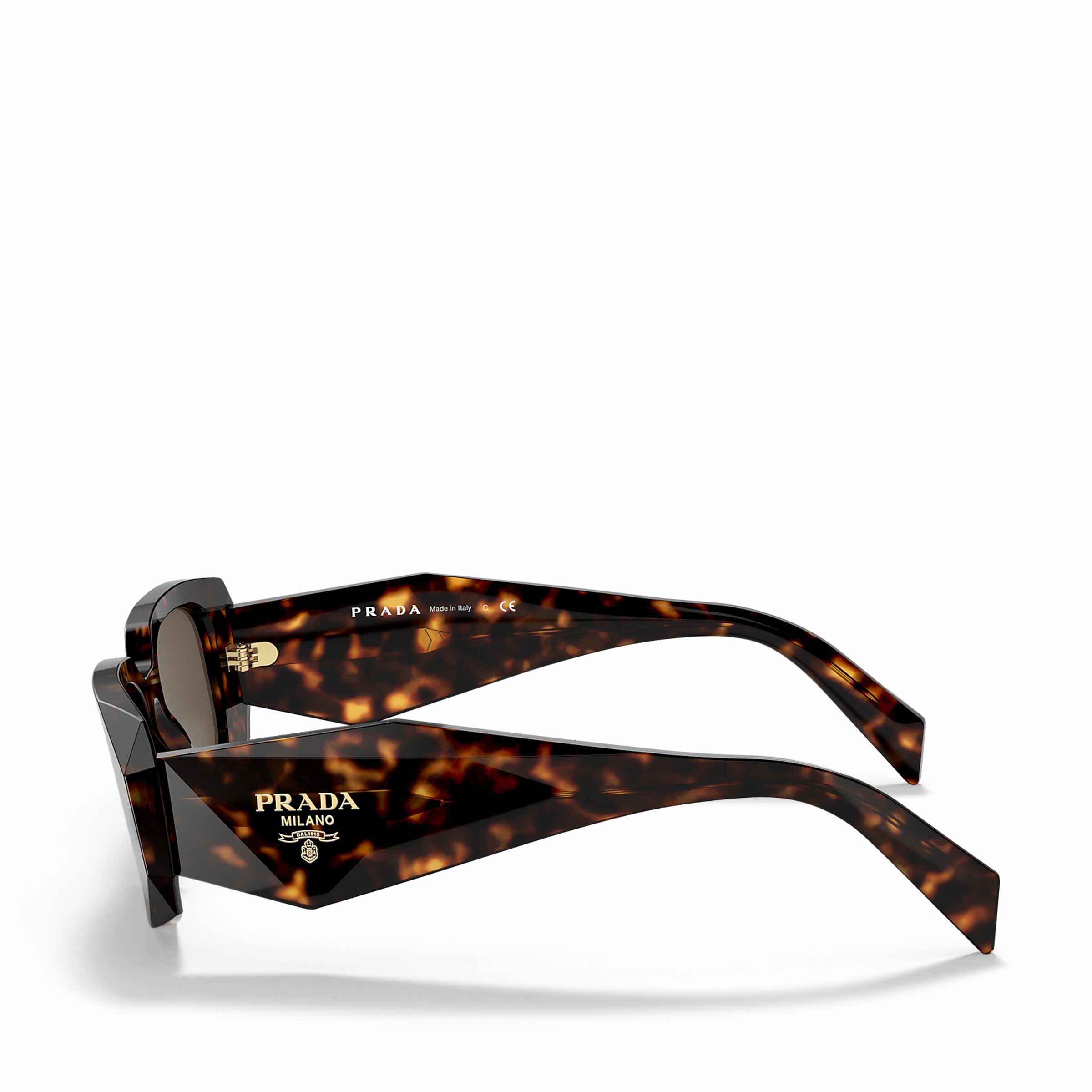 0PR 17WS Tortoise | SUBTYPE